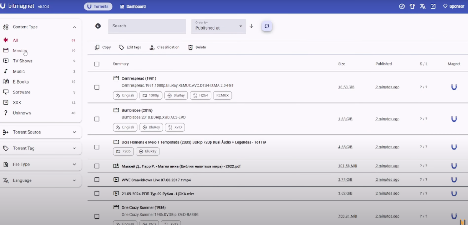 BitMagnet Installation Guide | Torrent Search Engine Setup (2025) - MaxReseller